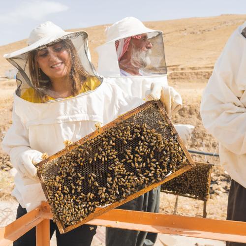 ZAMBIA, NEPAL AND THE MIDDLE EAST: LIFTING FAMILIES OUT OF POVERTY IN ...